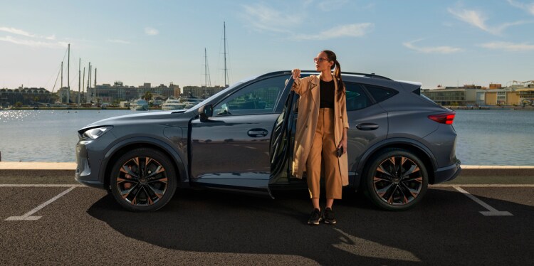 Classical Credit: Simple Financing with Fixed Payments